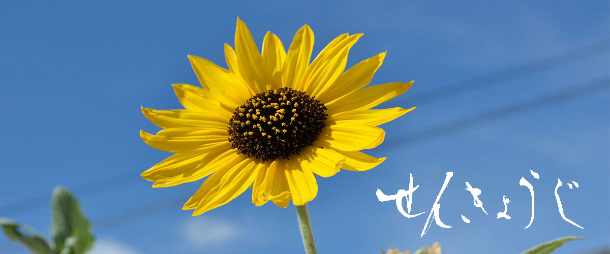 浄土真宗本願寺派 一乘山 専教寺 – 岡山の浄土真宗のお寺 一乗山専教寺です